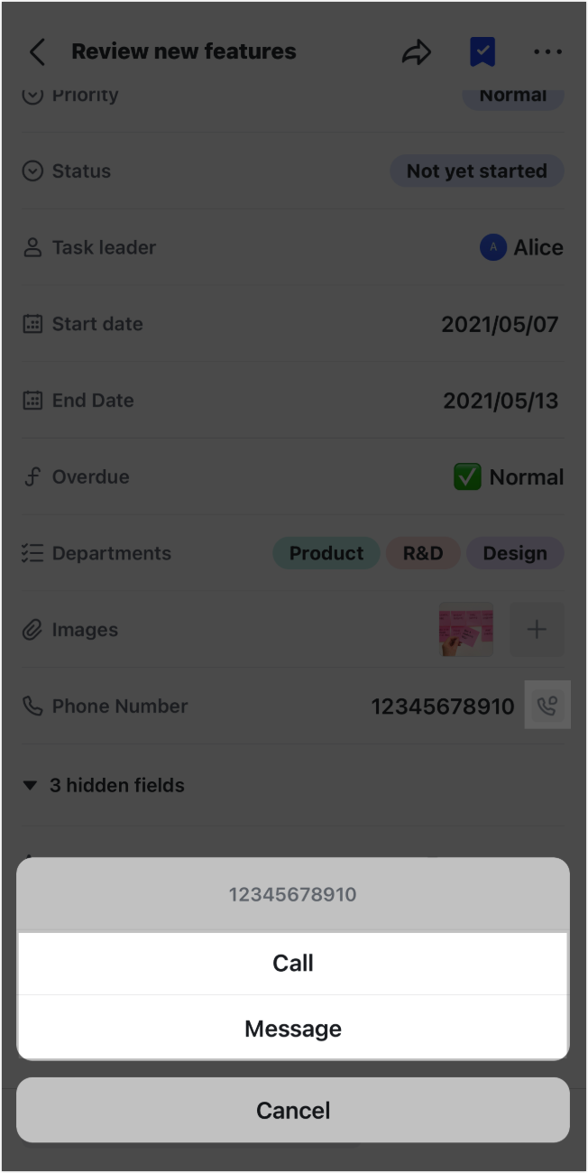 Use phone number fields in Base