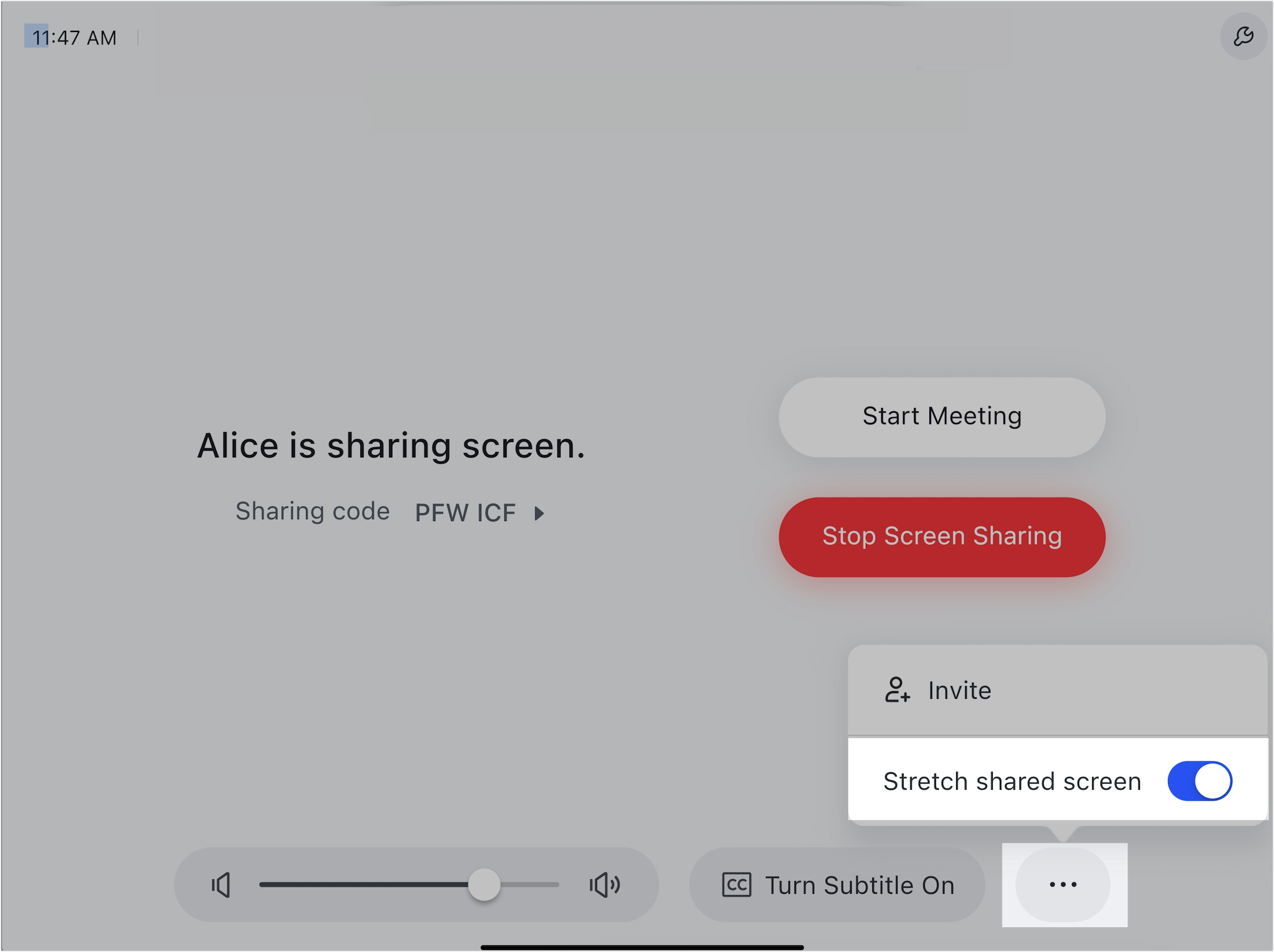 Share your screen with Lark Rooms